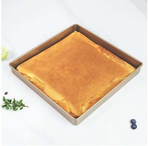 Dhjrefhhd 1Pcs Square Baking Pan Non-stick Coating Cake Baking Pan For Bread Chicken Wings Meats Cookies Cake Molds Baking Tray Golden