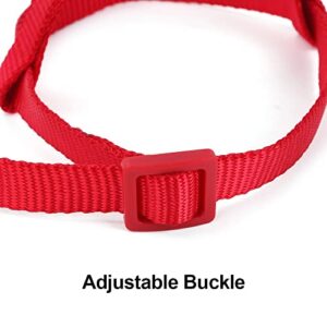 Bird Harness Leash, Parrot Training Harness Cockatiel Traction Rope for Parakeets, Macaws, Parrots, Love Birds