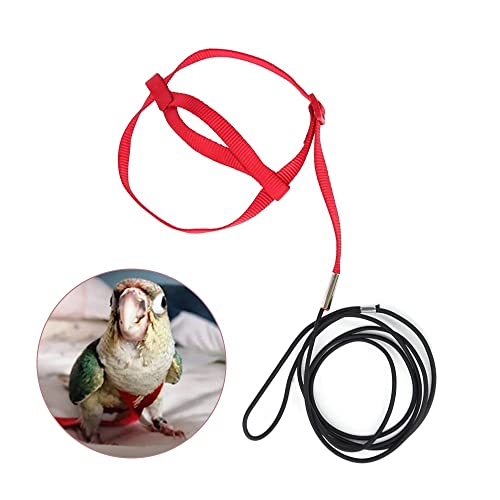 Bird Harness Leash, Parrot Training Harness Cockatiel Traction Rope for Parakeets, Macaws, Parrots, Love Birds