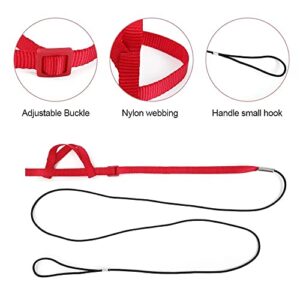 Bird Harness Leash, Parrot Training Harness Cockatiel Traction Rope for Parakeets, Macaws, Parrots, Love Birds