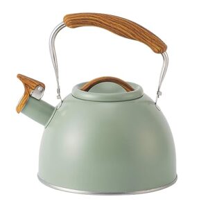 3l whistling tea kettle for stove top,teapot for stovetop, wooden handle for cool toch▂20 * 23.5cm/7.78"*9.25"