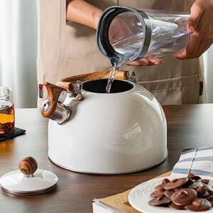 2.5L Whistling Tea Kettle for Stovetop,for Induction | Gas | Electric | Halogen | Radiant, Wooden Handle, Vintage▂19 * 21CM/7.5"*8.3"