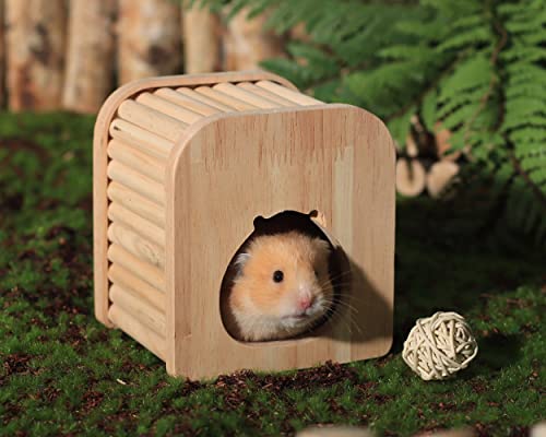 MPMLMF Hamster Sleeping House Hideout& Hamster Wood, Hamster Toys with Climbing Ladder, Hamster Accessories for Hamsters Gerbils Hedgehog or Similar-Sized Pets (Rectangle—Shaped)