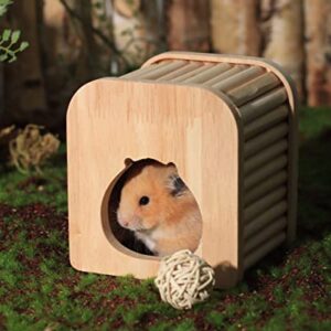 MPMLMF Hamster Sleeping House Hideout& Hamster Wood, Hamster Toys with Climbing Ladder, Hamster Accessories for Hamsters Gerbils Hedgehog or Similar-Sized Pets (Rectangle—Shaped)