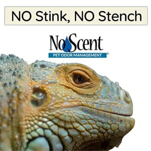 No Scent Reptile Tank Cleaner Spray & Pet Odor Management for Bearded Dragon, Turtle, Lizard Terrarium Freshener (2 Fl Oz / 59 mL)