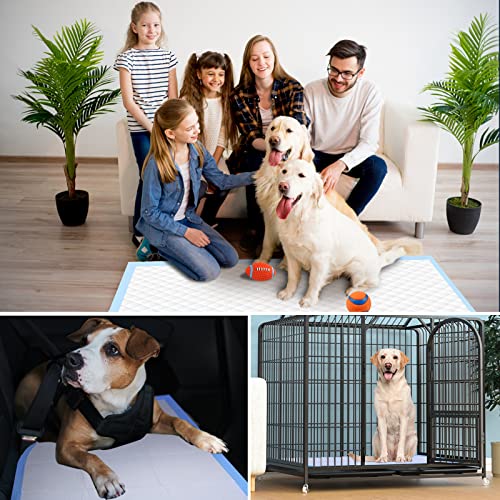 Boscute Super Absorbent & Leak-Proof Jumbo Size 36"x36" Pet Training Dog Pee Pads, Thicken Quick Dry Disposable Puppy Pee Pads, Potty Training Pads for Dogs Cats, Rabbits