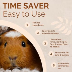 No Scent Small Animal Cage Cleaner for Hamster, Guinea Pig, Rabbit Pet Odor Spray for Urine, Poop & Stains (2 Fl Oz / 59 mL)