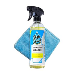 rev auto all-interior cleaner | car interior cleaner/car cleaner interior interior surfaces | interior car cleaner spray | car dashboard cleaner spray (16 fl oz)