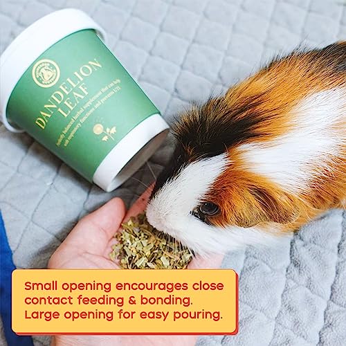 GuineaDad Organic Guinea Pig Herbal Treats - Guinea Pig Food with Convenient Packaging Dandelion Leaf Flavor 1.3-oz - Guinea Pig Treats Help with Bonding High in Nutrition, Good for Digestion Small