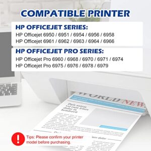 DOUBLE D Compatible 902XL Black Ink Cartridges Replacement for HP 902 902XL Black (Upgrade Chip) for HP OfficeJet Pro 6978 6962 6968 6975 6960 6970 6950 6954 6979 6951 Printer (2 Black)