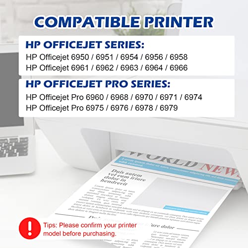 DOUBLE D Compatible 902XL Black Ink Cartridges Replacement for HP 902 902XL Black (Upgrade Chip) for HP OfficeJet Pro 6978 6962 6968 6975 6960 6970 6950 6954 6979 6951 Printer (2 Black)