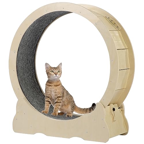 AURGOD Cat Exercise Wheel Indoor, Cat Treadmill with Locking Mechanism, TPE Noiseless Roller, Cute Cat Running Wheel for Pet Loss Weight and Daily Exercise