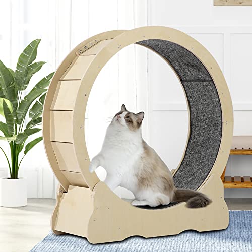 AURGOD Cat Exercise Wheel Indoor, Cat Treadmill with Locking Mechanism, TPE Noiseless Roller, Cute Cat Running Wheel for Pet Loss Weight and Daily Exercise