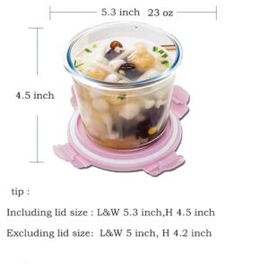 S.ROKE TTAN 3-Cup/750ml/23oz Glass Food Storage Containers, Round Glass Food Containers & Kitchen Prep Bowls with Airtight Lids, Freezer, Microwave and Dishwasher Safe - Pack of 4