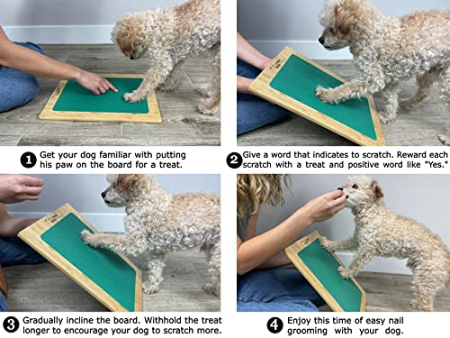 ZENLY PAWS Dog Scratch Board for Nails, Double Sided, File Paper Coarse and Fine Grit, Any Size Dog, Dog Nail File Board 16" x 12", Calming NailCare, Scratch Square for Dogs, Dog Scratch Pad For Nails