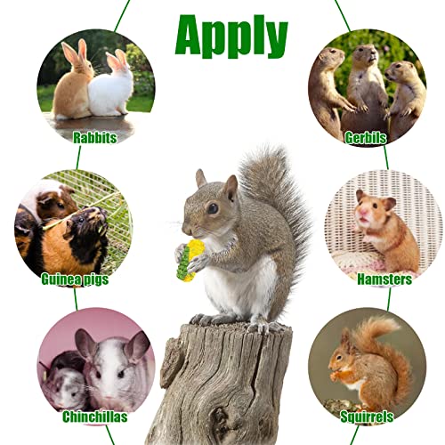 Rabbit Chew Toys,150g Bunny Treats,Guinea Pig Food Natural Small Animal Teeth Molar Toys for Hamster Chinchilla Gerbil Squirrel