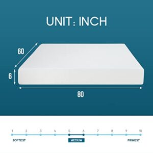 PayLessHere 6 Inch Queen Gel Memory Foam Mattress Fiberglass Free/CertiPUR-US Certified/Bed-in-a-Box/Cool Sleep & Comfy Support