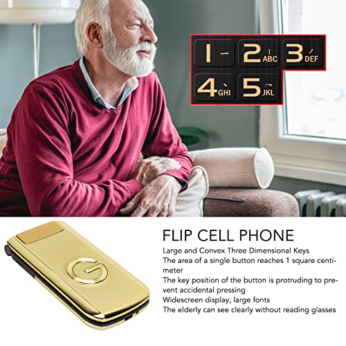 Dilwe,GSM Unlocked Flip Phone for Seniors,2.4 Inch Screen,Big Button Loud Flip Mobile Phone with Camera,FM Radio,Flashlight,4800mAh Battery,Dual Card Dual Standby,Gold