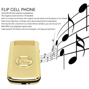 Dilwe,GSM Unlocked Flip Phone for Seniors,2.4 Inch Screen,Big Button Loud Flip Mobile Phone with Camera,FM Radio,Flashlight,4800mAh Battery,Dual Card Dual Standby,Gold