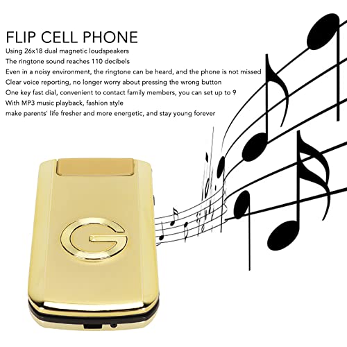 Dilwe,GSM Unlocked Flip Phone for Seniors,2.4 Inch Screen,Big Button Loud Flip Mobile Phone with Camera,FM Radio,Flashlight,4800mAh Battery,Dual Card Dual Standby,Gold