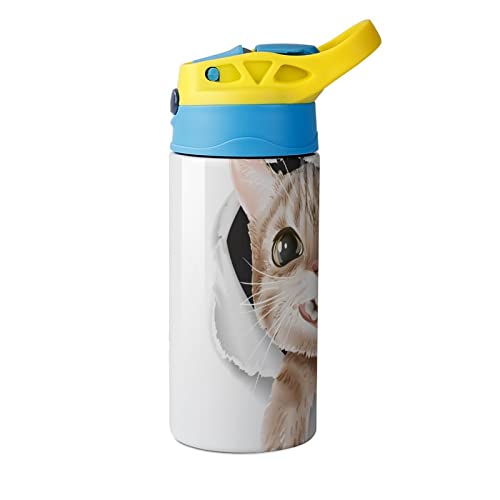 Thermos Cup 500Ml Cartoon Cat Insulated Water Bottle With Straw For Sports And Travel