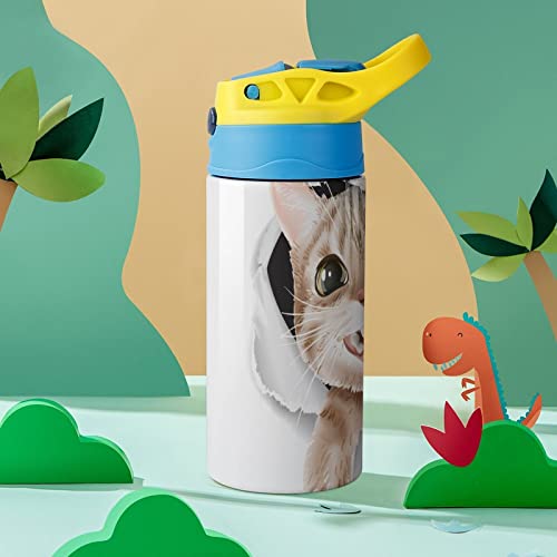 Thermos Cup 500Ml Cartoon Cat Insulated Water Bottle With Straw For Sports And Travel