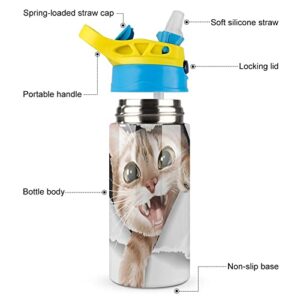 Thermos Cup 500Ml Cartoon Cat Insulated Water Bottle With Straw For Sports And Travel