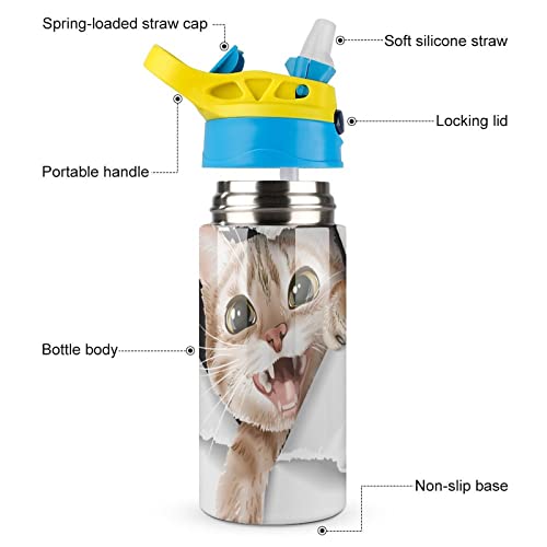 Thermos Cup 500Ml Cartoon Cat Insulated Water Bottle With Straw For Sports And Travel