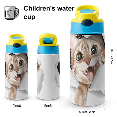 Thermos Cup 500Ml Cartoon Cat Insulated Water Bottle With Straw For Sports And Travel