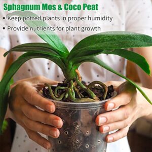 17 OZ Orchid Soil Potting Mix, Orchid Bark for Indoor Plants, Orchid Repotting Potting Soil with Perlite Moss Sphagnum Coco Peat for Phalaenopsis Succulent Plants