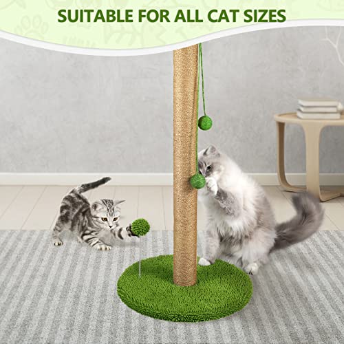 Dohump Cat Scratching Post, 31" Tall Scratch Tree with Premium Sisal Rope, Two Interactive Dangling Balls and Spring Ball Toys for Indoor Kittens and Cats