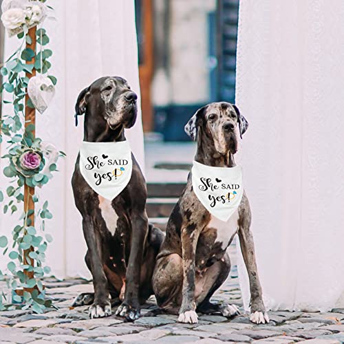 KOOLTAIL Dog Wedding Bandanas, 2 Pack Wedding Gift for Engagement Announcement Photos, Pet Scarf Accessories for Dog Lovers Bridal Show