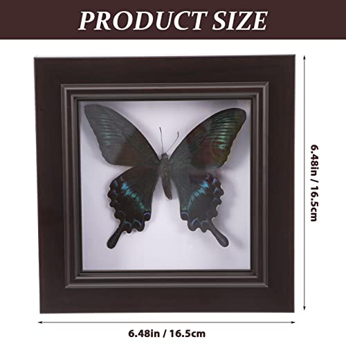 Housoutil Butterfly Specimens in Shadow Box Blue Morpho Butterfly Framed and Mounted in Black Display for Wall Shelf or Table Display