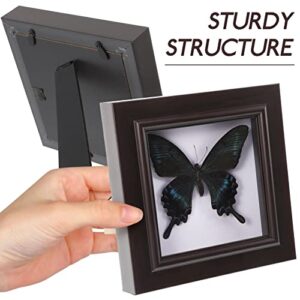 Housoutil Butterfly Specimens in Shadow Box Blue Morpho Butterfly Framed and Mounted in Black Display for Wall Shelf or Table Display