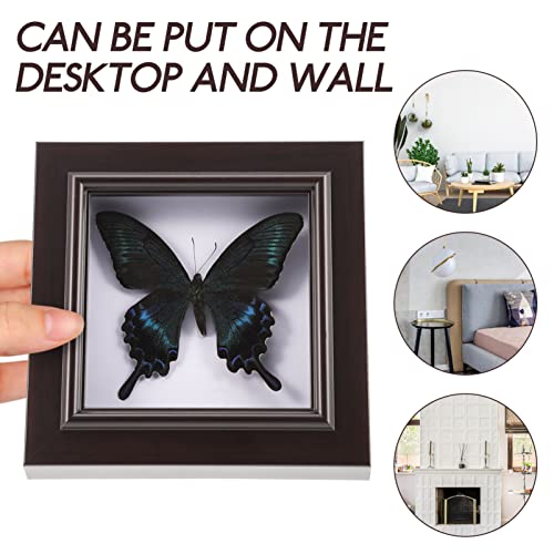 Housoutil Butterfly Specimens in Shadow Box Blue Morpho Butterfly Framed and Mounted in Black Display for Wall Shelf or Table Display