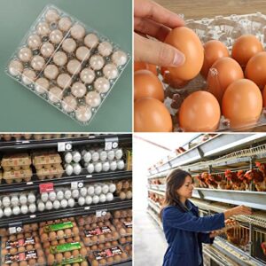 20 Pack Egg Cartons, Plastic Egg Cartons Bulk, Empty Clear Plastic Egg Carton Holds Up to 30 Eggs, Reusable Chicken Egg Tray Holders for Family Pasture Chicken Farm, Market Display, Storage