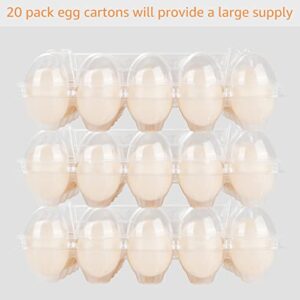 20 Pack Egg Cartons, Plastic Egg Cartons Bulk, Empty Clear Plastic Egg Carton Holds Up to 30 Eggs, Reusable Chicken Egg Tray Holders for Family Pasture Chicken Farm, Market Display, Storage