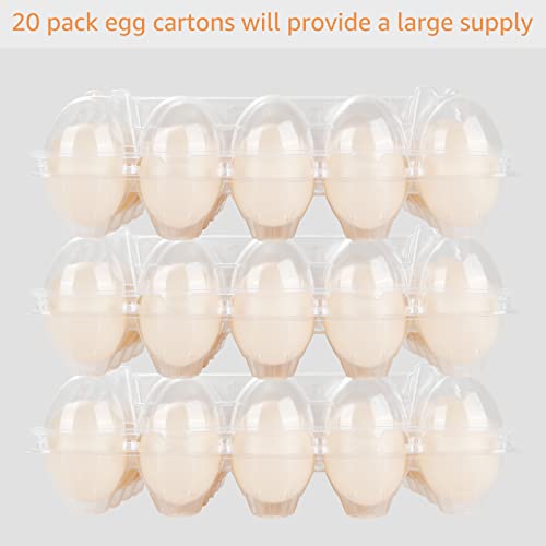 20 Pack Egg Cartons, Plastic Egg Cartons Bulk, Empty Clear Plastic Egg Carton Holds Up to 30 Eggs, Reusable Chicken Egg Tray Holders for Family Pasture Chicken Farm, Market Display, Storage