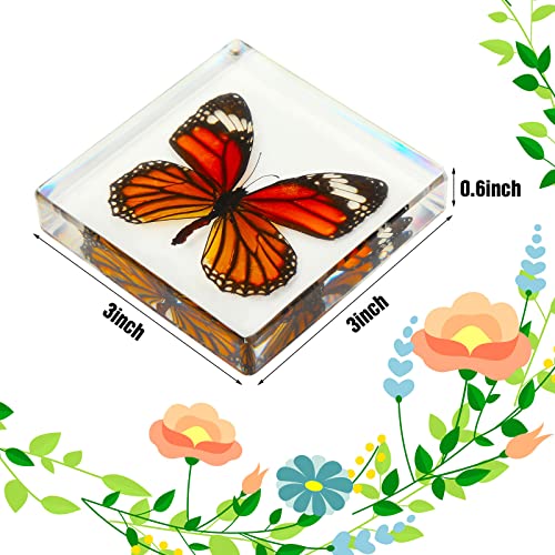 9 Pieces Real Butterfly Specimens Set Resin Butterfly Paperweight Square Framed Butterfly Taxidermy Butterfly Specimen Collection Display for Home Office School Science Education Toys 3 x 3 x 0.6 Inch