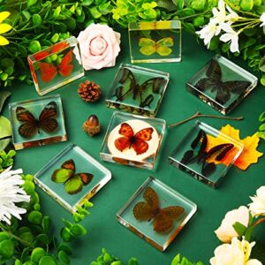 9 Pieces Real Butterfly Specimens Set Resin Butterfly Paperweight Square Framed Butterfly Taxidermy Butterfly Specimen Collection Display for Home Office School Science Education Toys 3 x 3 x 0.6 Inch