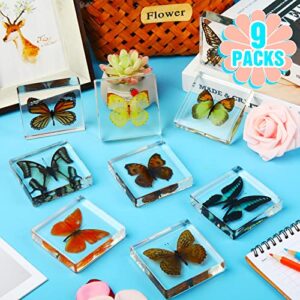 9 Pieces Real Butterfly Specimens Set Resin Butterfly Paperweight Square Framed Butterfly Taxidermy Butterfly Specimen Collection Display for Home Office School Science Education Toys 3 x 3 x 0.6 Inch