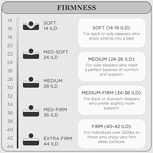 PlushBeds 3" Medium-Firm Topper| 100% Natural Talalay Latex| Made in The USA| Luxurious Comfort | Soothing Pressure Point Relief | Support for Shoulders, Hips, Back, and Knees|Twin