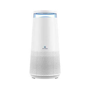 dh lifelabs | sciaire mini + hepa air purifier | ions actively clean & deodorize air | eliminates 99.9% of bacteria & viruses | h13 hepa purifier filter for allergies pets | bedroom home | white