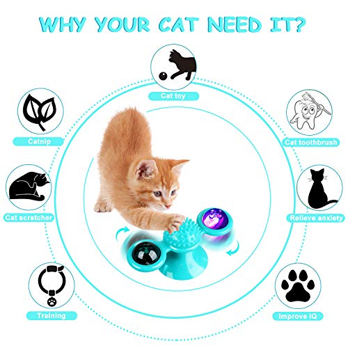 GBSYU Interactive Windmill Cat Toys with Catnip : Cat Toys for Indoor Cats Funny Kitten Toys with LED Light Ball Suction Cup‖Cat Nip Toy for Cat chew Exercise (Blue)