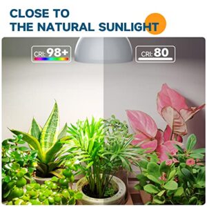 Barrina LED Grow Light Bulb with Timing and Hanging System, 25W Full Spectrum, 4H/9H/14H Timer, Hanging Grow Lights for Indoor Plants with 16.4FT Power Cord, Plug in Pendant Light for Plants