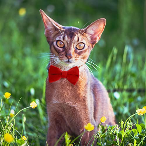 2 Pcs Velvet Cat Collar with Bell and Bowtie, Adjustable Breakaway Cat Collars Kitten Small Puppy Safety Bow Tie Solid Wedding Basic Color Cat Bow Tie Collar