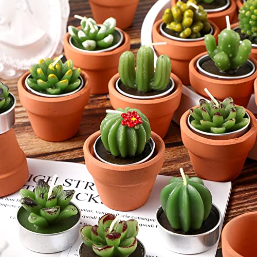 Shihanee 24 Pack Succulent Candles Cactus Tealight Candles Bulk with Terracotta Pot Novelty Handmade Stylish Plant Candles for Baby Shower Birthday Wedding Party Favors Home Decor (Classic Style)