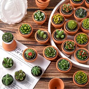 Shihanee 24 Pack Succulent Candles Cactus Tealight Candles Bulk with Terracotta Pot Novelty Handmade Stylish Plant Candles for Baby Shower Birthday Wedding Party Favors Home Decor (Classic Style)