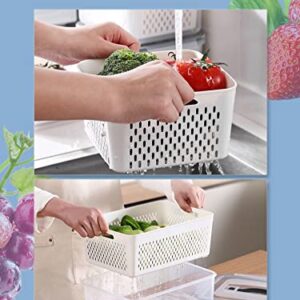 GOJUSO 4 Size Fruit Storage Containers for Fridge with Lids Clear Plastic Box Food Organization Stackable Organizer