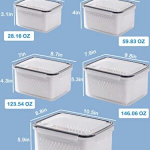 GOJUSO 4 Size Fruit Storage Containers for Fridge with Lids Clear Plastic Box Food Organization Stackable Organizer